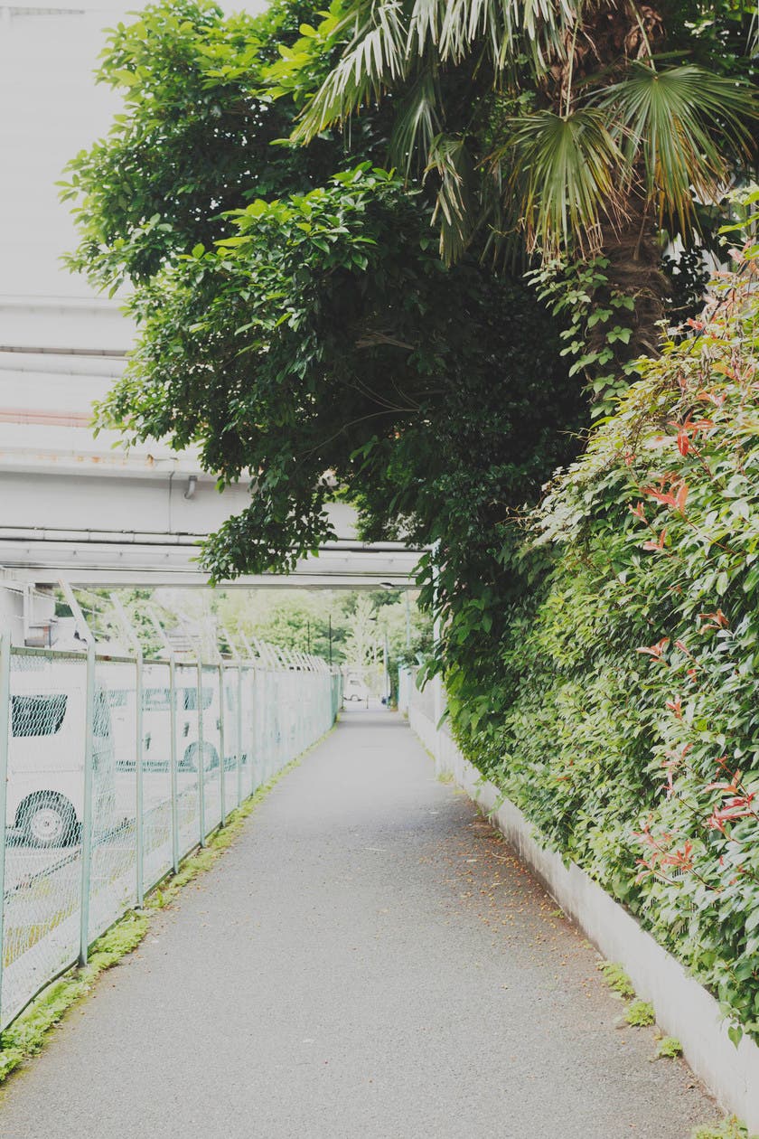 NEW OPEN 2025年⭐️初台駅から徒歩5分、新宿駅からも徒歩圏内！柔らかな光の白を基調としたスタジオ！の写真20