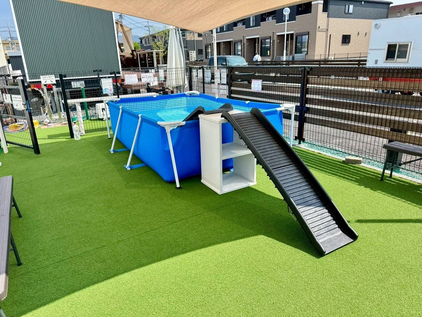 ドッグプール（今年は１０月末まで！）の画像2