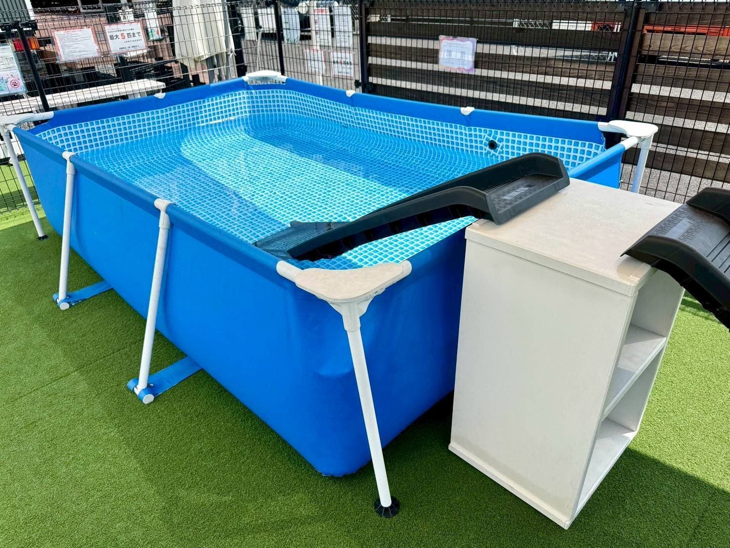 ドッグプール（今年は１０月末まで！）の画像3