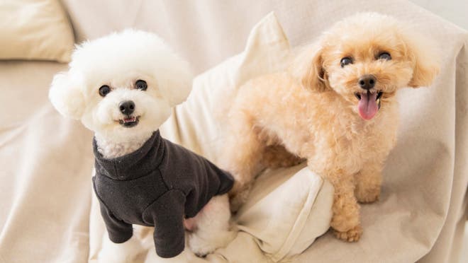 NEW OPEN 2025年⭐️初台駅から徒歩5分、新宿駅からも徒歩圏内!柔らかな光の白を基調としたスタジオ!の写真2