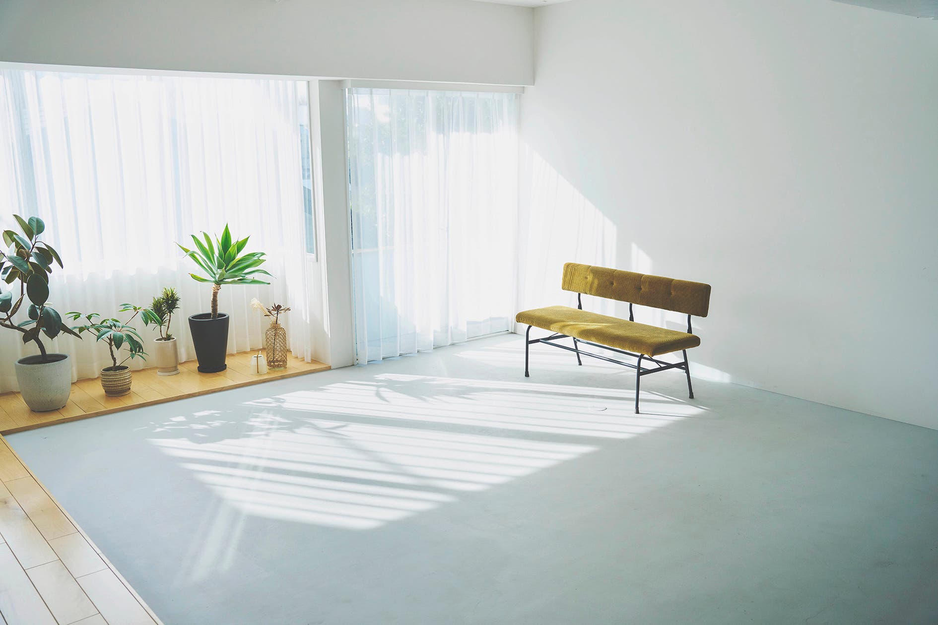 東高円寺駅徒歩1分。東高円寺駅徒歩1分　南向きの窓から一日中綺麗な光が差し込むスタジオ。の写真2