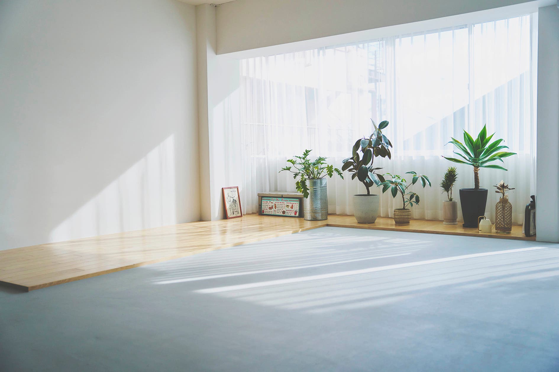 東高円寺駅徒歩1分。東高円寺駅徒歩1分　南向きの窓から一日中綺麗な光が差し込むスタジオ。の写真3