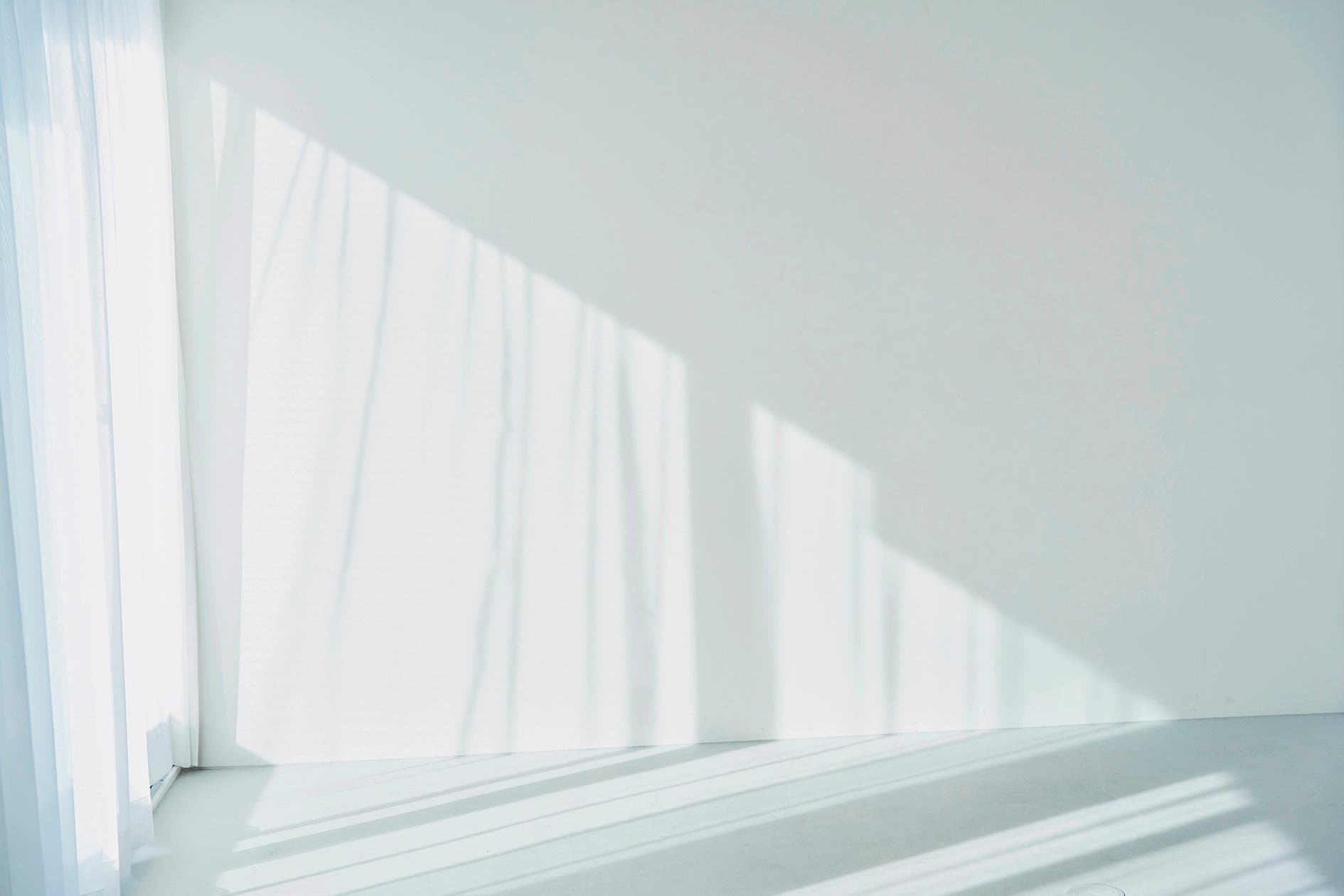 東高円寺駅徒歩1分。東高円寺駅徒歩1分　南向きの窓から一日中綺麗な光が差し込むスタジオ。の写真4