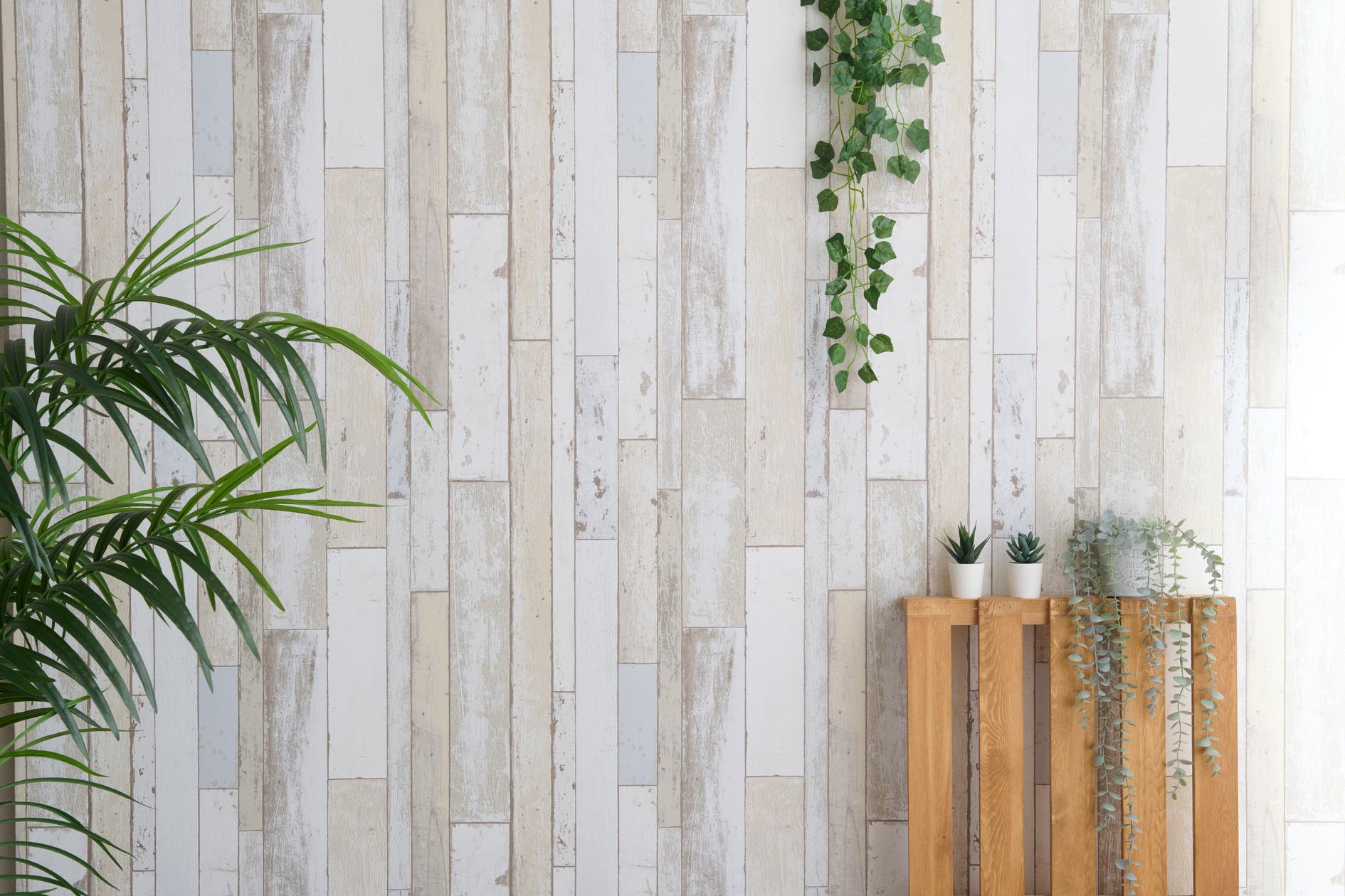 渋谷7分✨壁1面窓で採光◎明るい室内｜パーティーもOK🎉｜撮影機材無料の大型スタジオの写真18