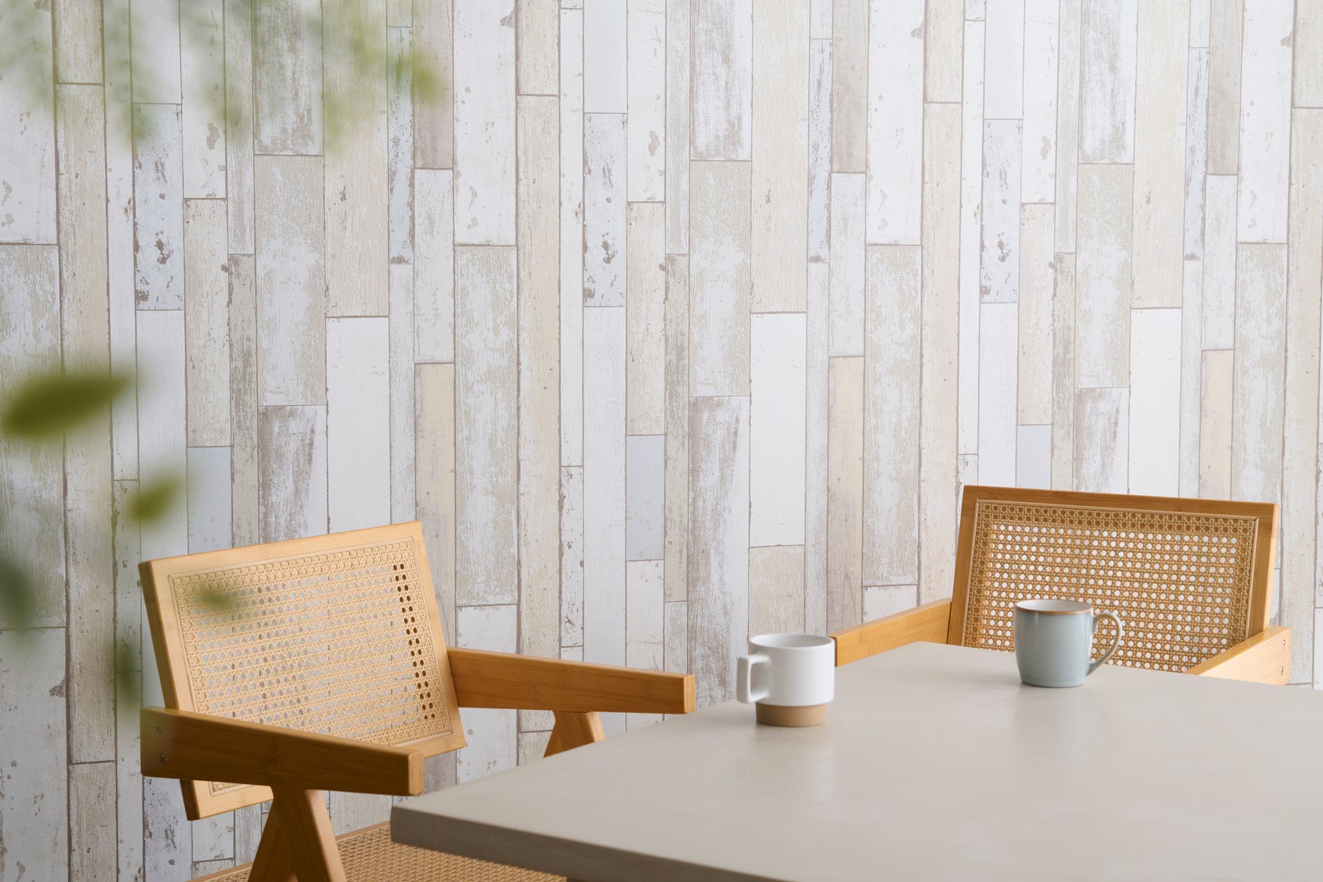 渋谷7分✨壁1面窓で採光◎明るい室内｜パーティーもOK🎉｜撮影機材無料の大型スタジオの写真19