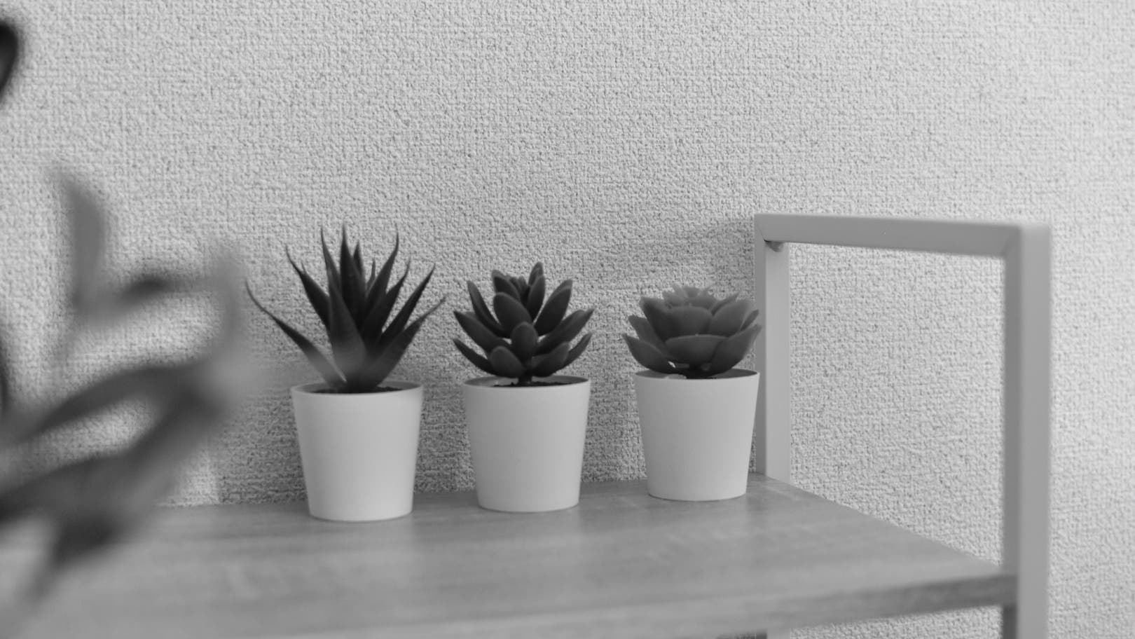 北欧🩵と猫🐱のまったり空間☕大迫力プロジェクターで映画デート💕‪の写真23