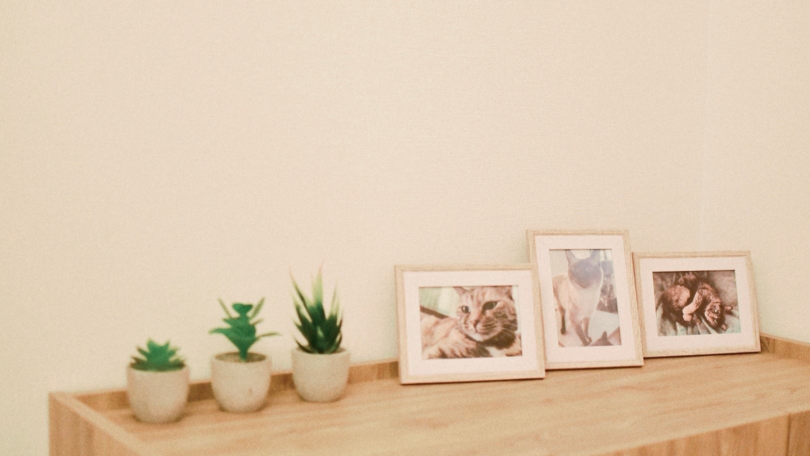 北欧🩵と猫🐱のまったり空間☕大迫力プロジェクターで映画デート💕‪の写真11