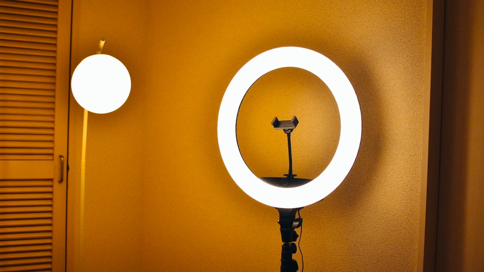 北欧🩵と猫🐱のまったり空間☕大迫力プロジェクターで映画デート💕‪の写真27