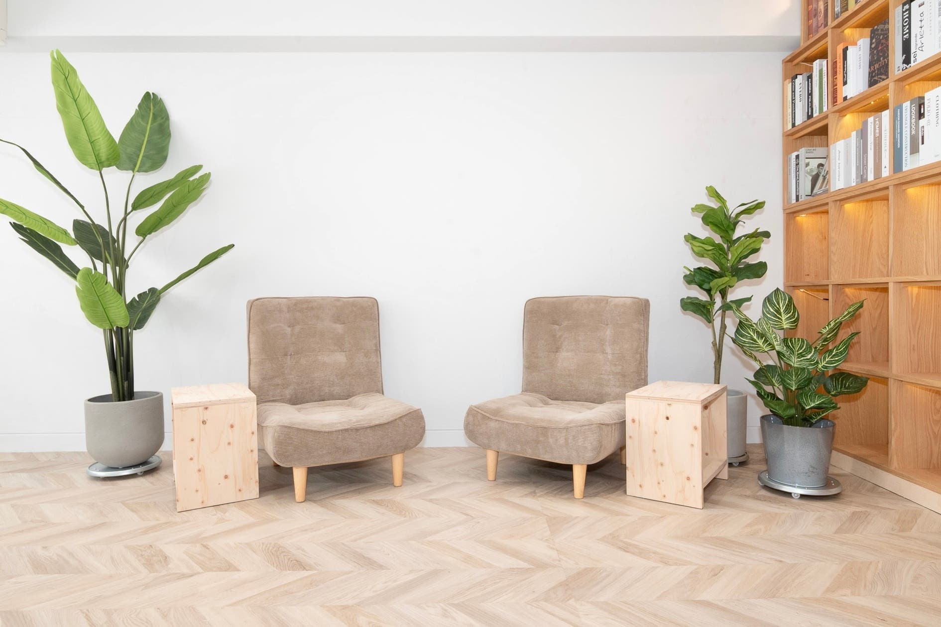 池袋駅7分✨SNS映え💕自然光が綺麗に入る明るいお部屋📸ポートレート🌿推し活💕コスプレ💎の写真4