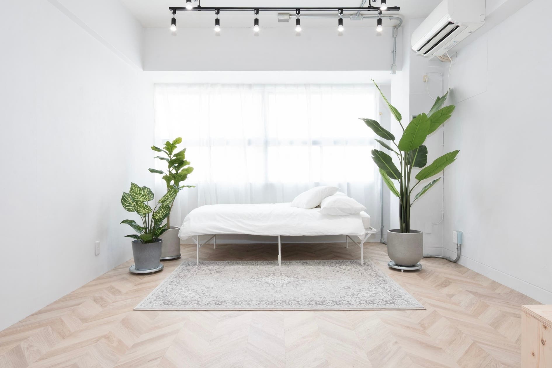 池袋駅7分✨SNS映え💕自然光が綺麗に入る明るいお部屋📸ポートレート🌿推し活💕コスプレ💎の写真13