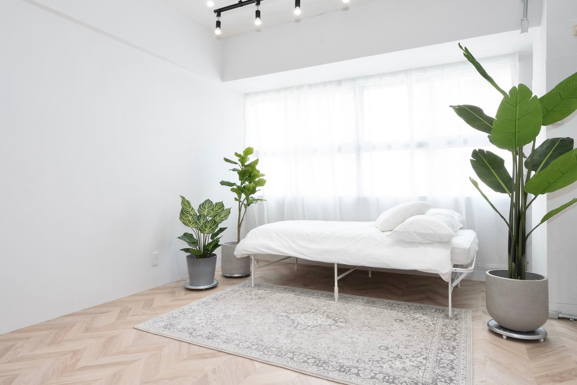 池袋駅7分✨SNS映え💕自然光が綺麗に入る明るいお部屋📸ポートレート🌿推し活💕コスプレ💎の写真14