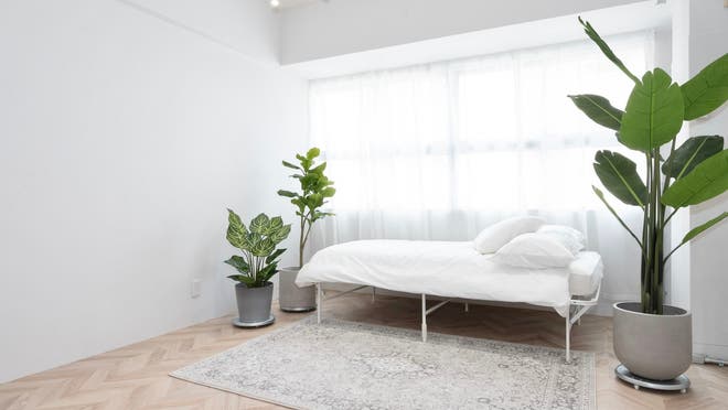 池袋駅7分✨SNS映え💕自然光が綺麗に入る明るいお部屋📸ポートレート🌿推し活💕コスプレ💎の写真14