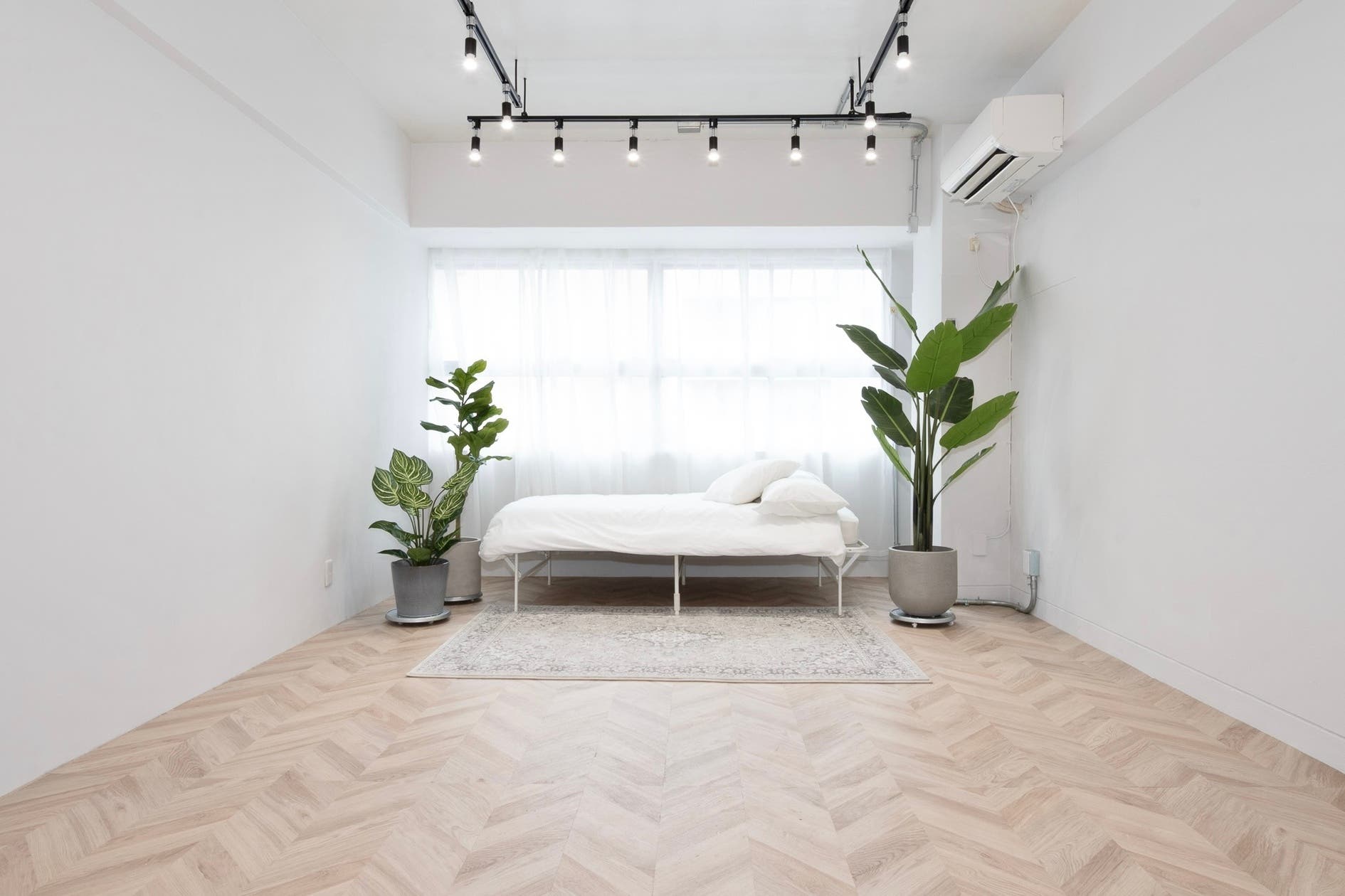 池袋駅7分✨SNS映え💕自然光が綺麗に入る明るいお部屋📸ポートレート🌿推し活💕コスプレ💎の写真15