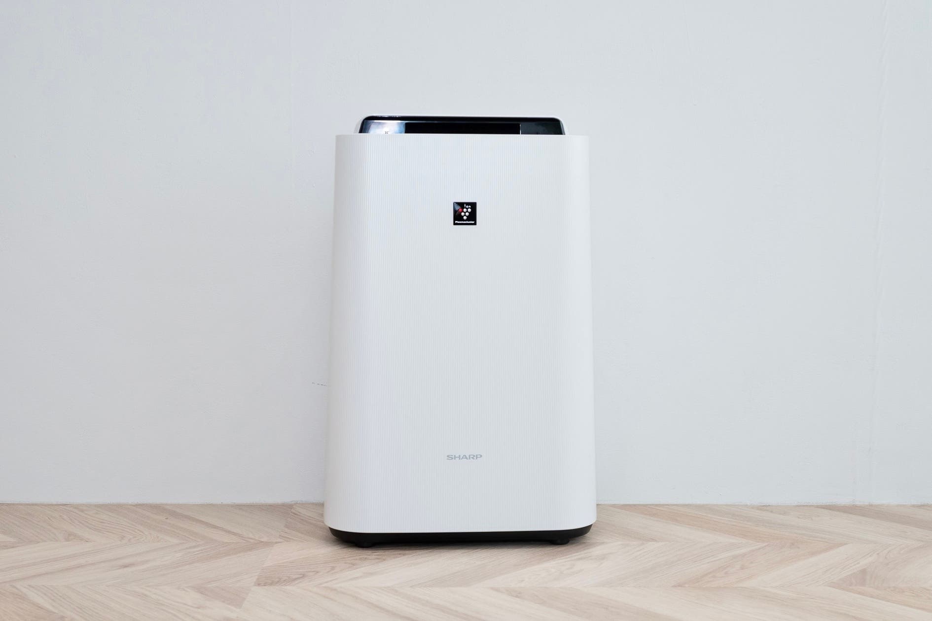 池袋駅7分✨SNS映え💕自然光が綺麗に入る明るいお部屋📸ポートレート🌿推し活💕コスプレ💎の写真26