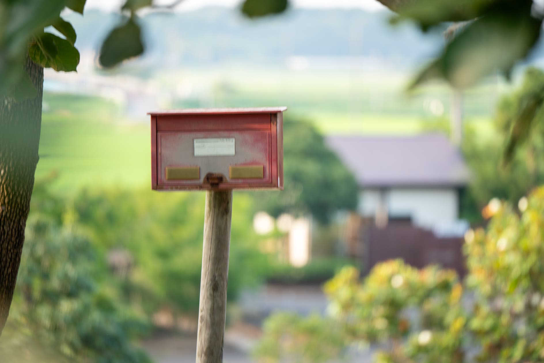 【絶景】本格BBQコンロ併設の貸し切りバーベキュー場の写真14