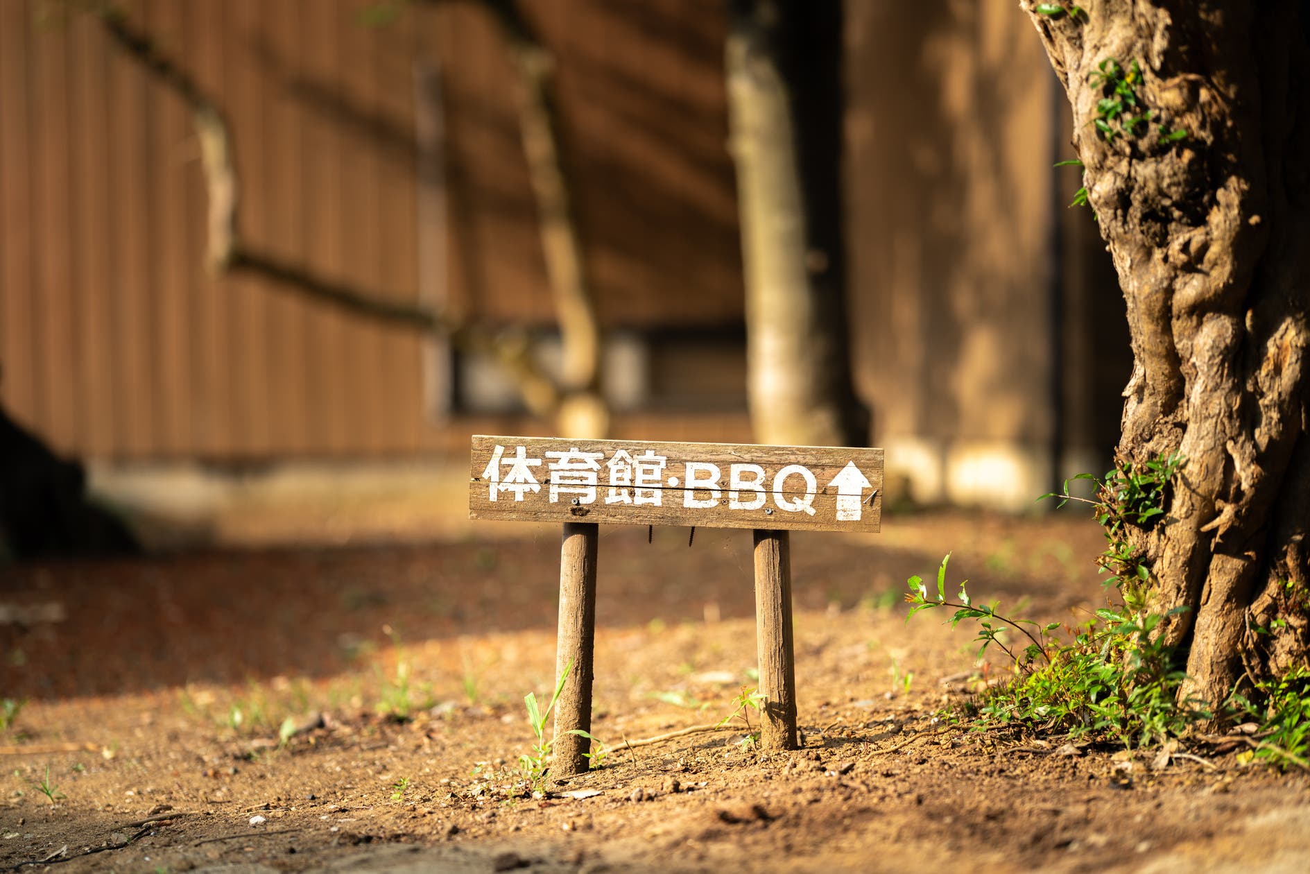【絶景】本格BBQコンロ併設の貸し切りバーベキュー場の写真16