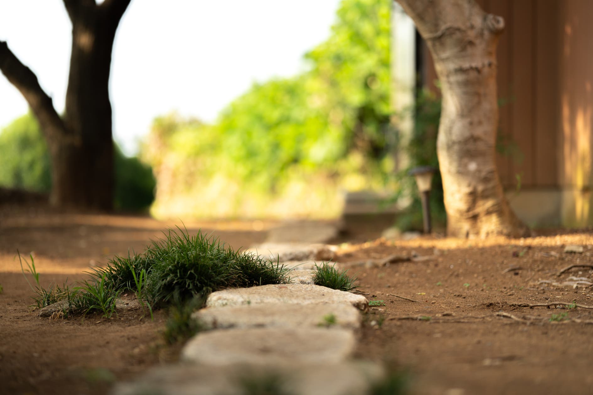 千葉県柏市にある小さな貸し切り体育館。バレーボールやダンス、セミナーなど様々な用途でご利用可能！の写真17