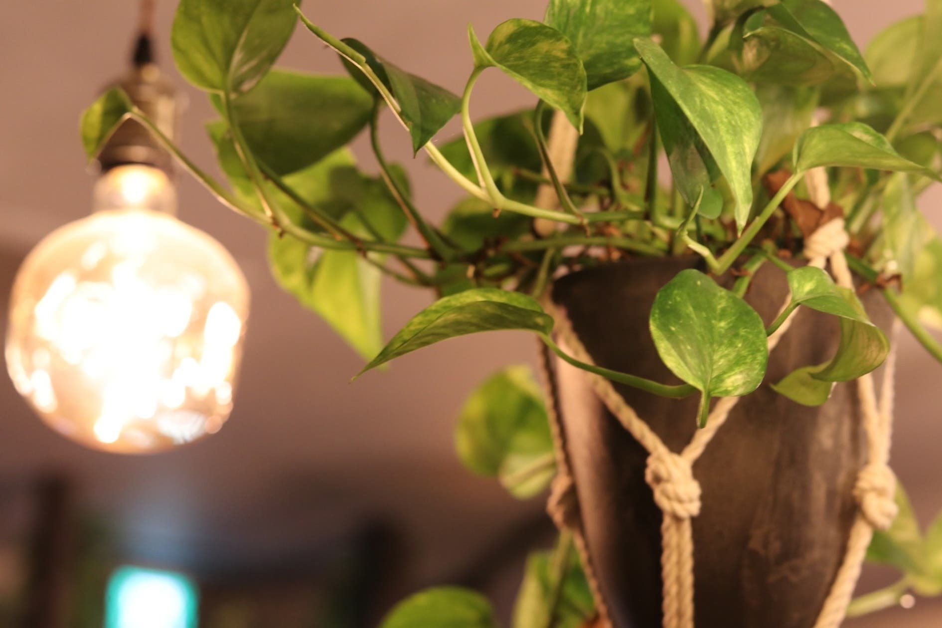 【新宿御苑前駅 徒歩6分】ロケ・YouTube撮影📸交流会、懇親会✨女子会・街コン😊ポートレート撮影・MV・PV🍃取材🖊の写真3