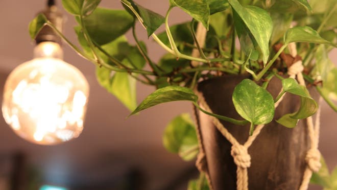 【新宿御苑前駅 徒歩6分】ロケ・YouTube撮影📸交流会、懇親会✨女子会・街コン😊ポートレート撮影・MV・PV🍃取材🖊の写真3