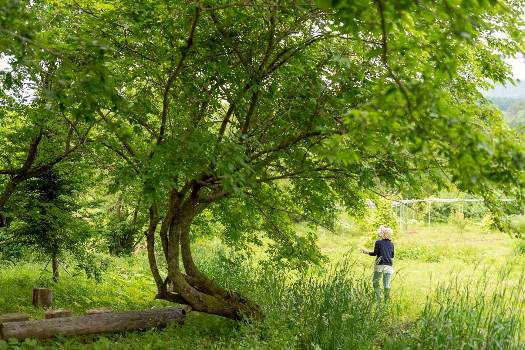 【ロケ撮影可】【ケータリング可】田んぼや森に囲まれた静かな2200坪の広々スペースを貸切の写真4