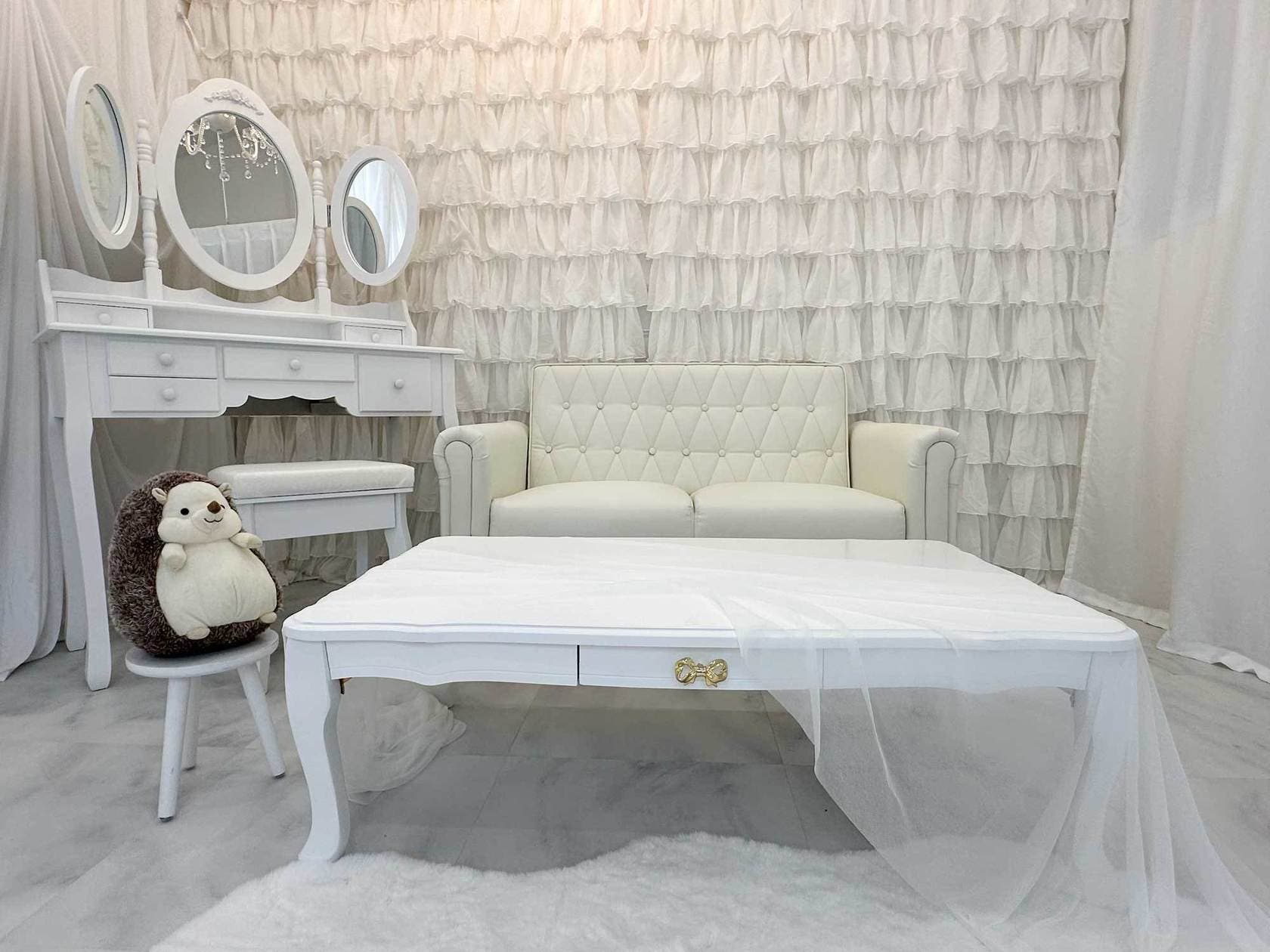 【船橋・柏からのアクセス⭕️駅5分】駐車場２台🚗プロジェクターのある推し活ROOM📷生誕祭や鑑賞会にｵｽｽﾒ✨の写真14