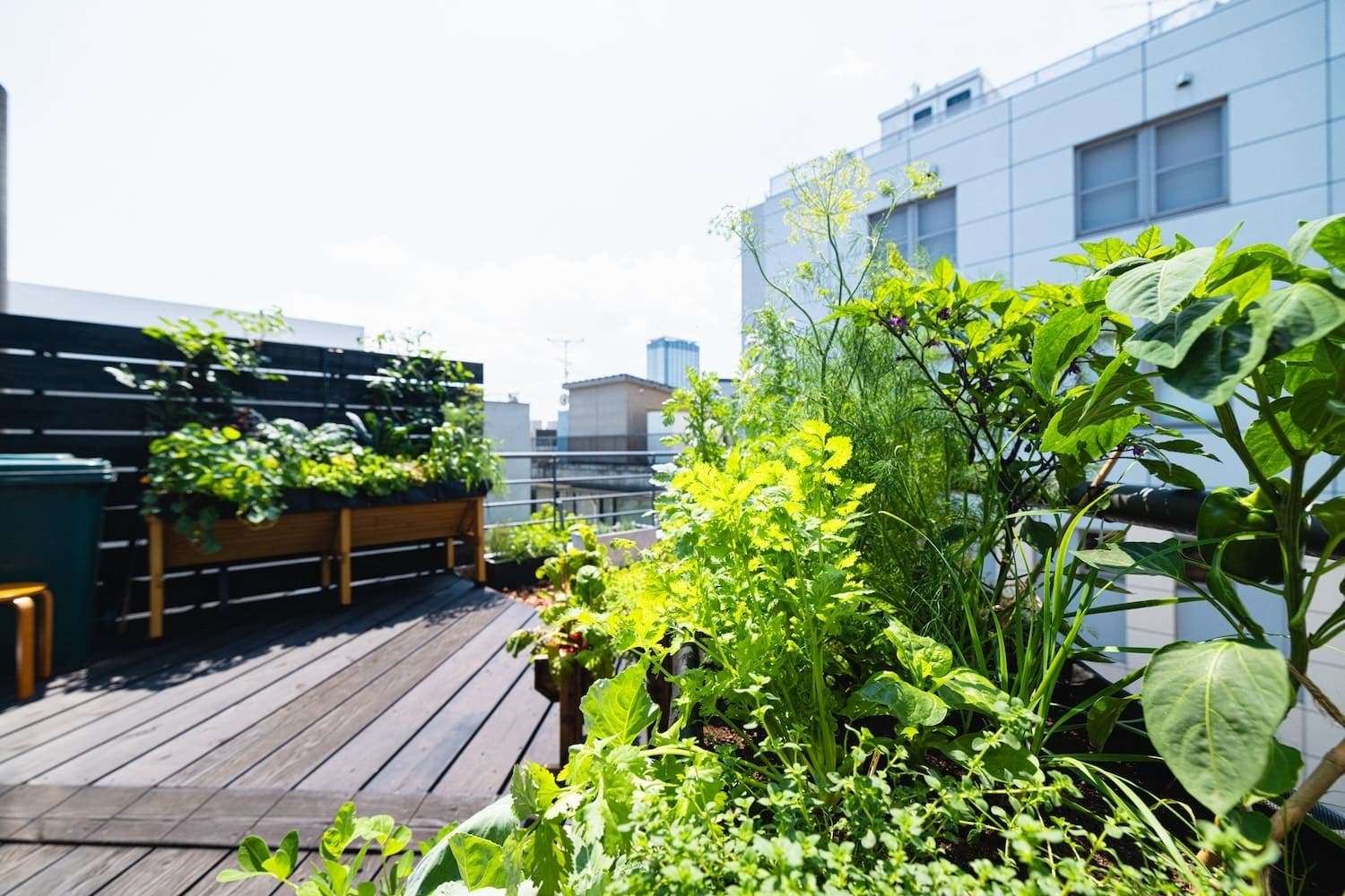 【代官山駅徒歩10分 / Mo:take STUDIO 代官山】料理シーンや商品撮影や料理教室におすすめのキッチンスタジオの写真3