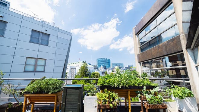 【代官山駅徒歩10分 / Mo:take STUDIO 代官山】料理シーンや商品撮影や料理教室におすすめのキッチンスタジオの写真8