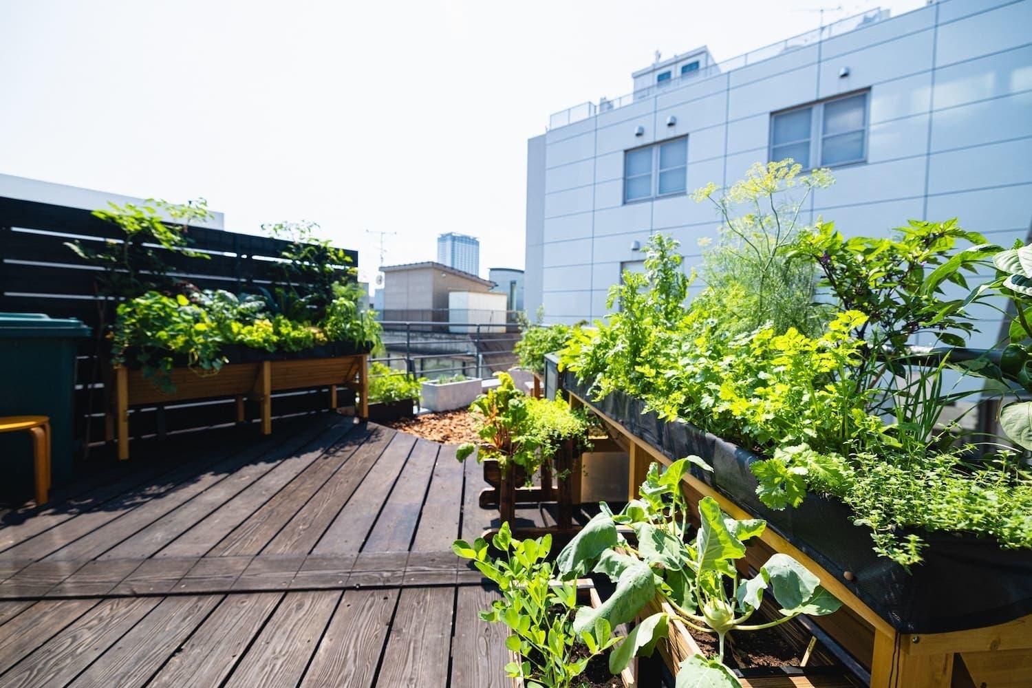 【代官山駅徒歩10分 / Mo:take STUDIO 代官山】料理シーンや商品撮影や料理教室におすすめのキッチンスタジオの写真6