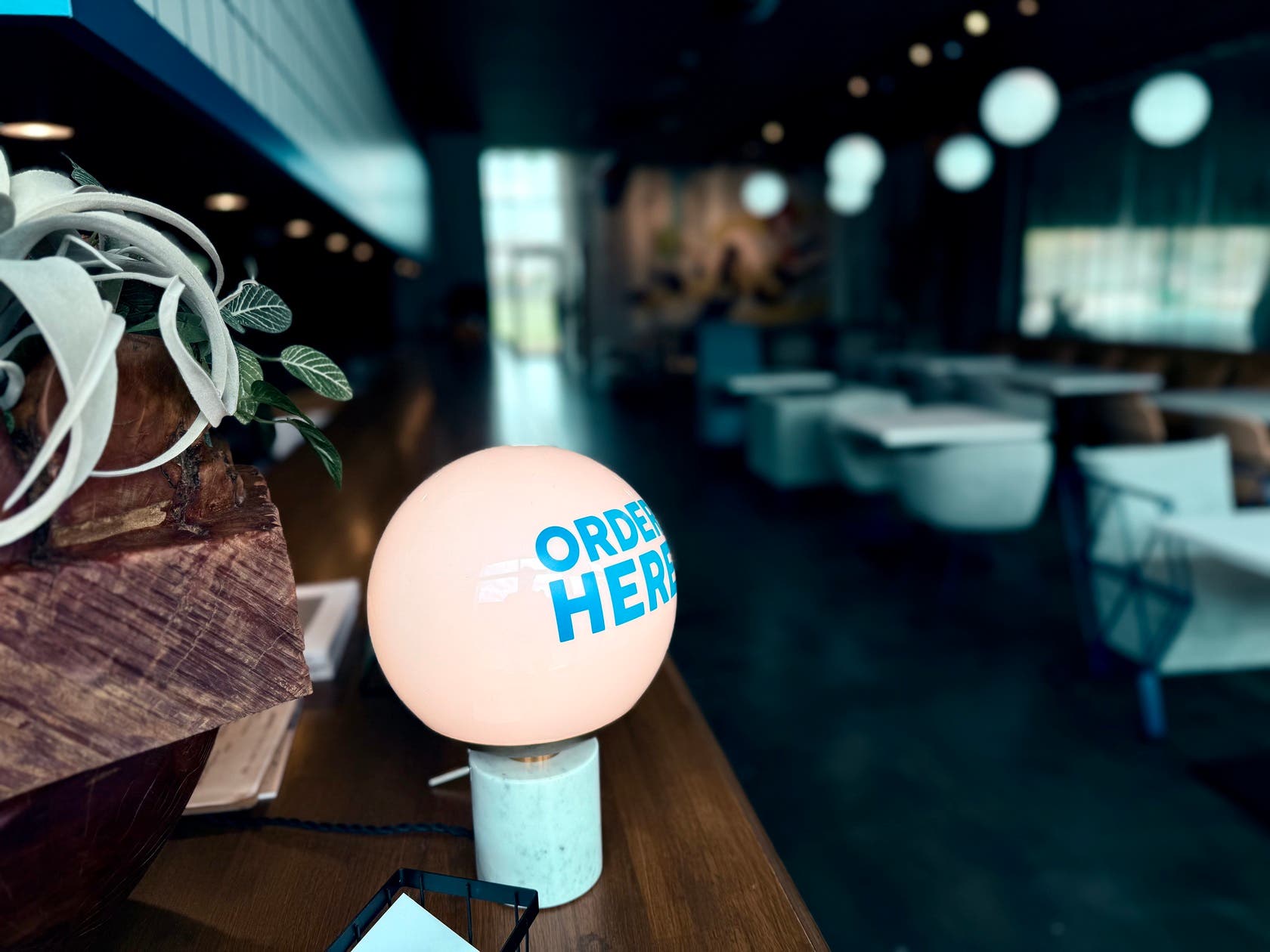 【充実したカフェ貸し切りプラン】ブランチ大津京内バスケットコート併設の路面カフェの写真6