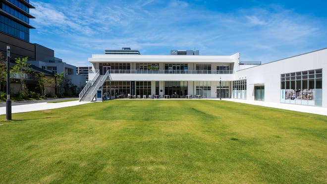 約300坪のふかふか天然芝!横浜みなとみらいの屋外イベント・撮影スペースの写真1