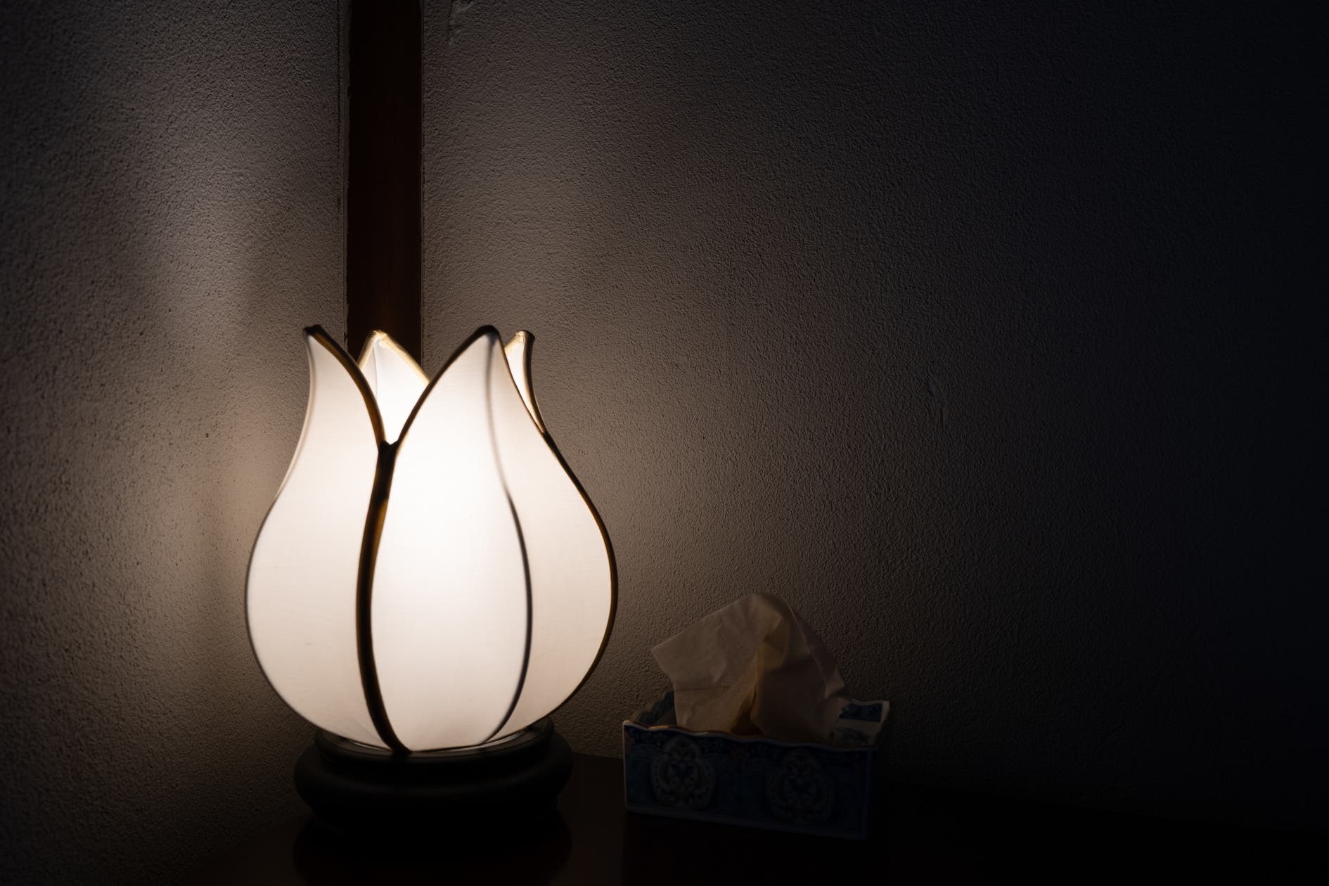 ハウススタジオ 一戸建て 雰囲気重視の方におすすめ　【八王子】の写真15