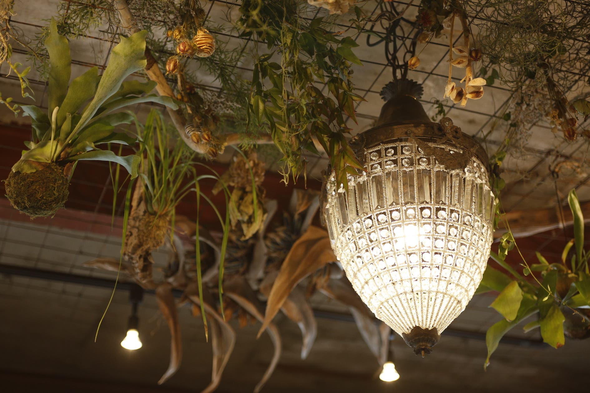 AREA41 RETRO (スタジオ＆ギャラリー＆多目的スペース）の写真5