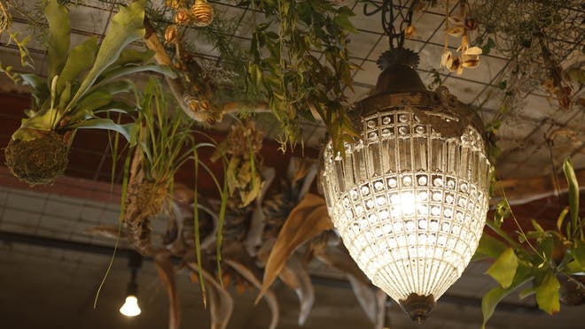 AREA41 RETRO (スタジオ&ギャラリー&多目的スペース)の写真5