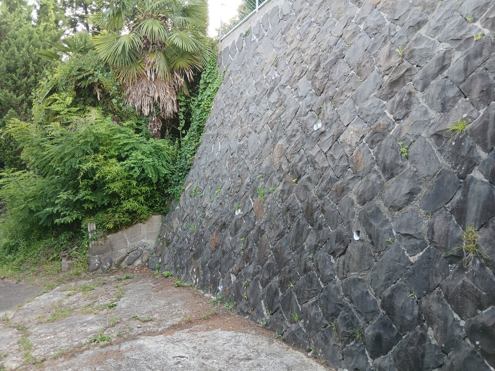 自然光たっぷり元シェアハウス丸々1棟貸し、コスプレやポートレート、自由にお使いくださいの写真7