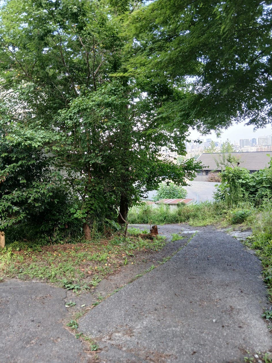 自然光たっぷり元シェアハウス丸々1棟貸し、コスプレやポートレート、自由にお使いくださいの写真8