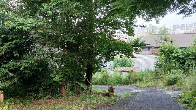 自然光たっぷり元シェアハウス丸々1棟貸し、コスプレやポートレート、自由にお使いくださいの写真8