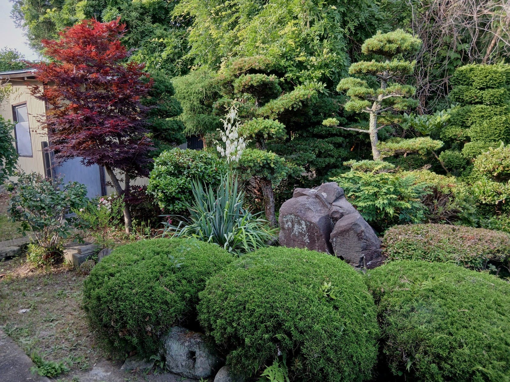 自然光たっぷり元シェアハウス丸々1棟貸し、コスプレやポートレート、自由にお使いくださいの写真9