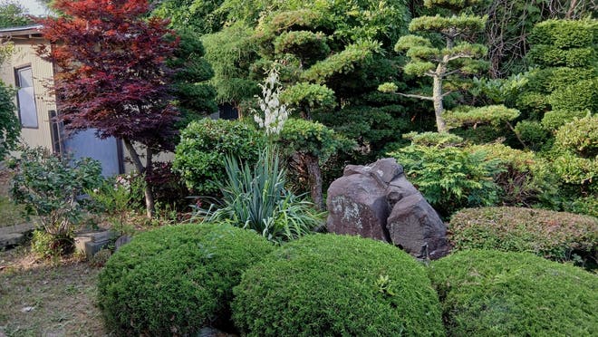 自然光たっぷり元シェアハウス丸々1棟貸し、コスプレやポートレート、自由にお使いくださいの写真9