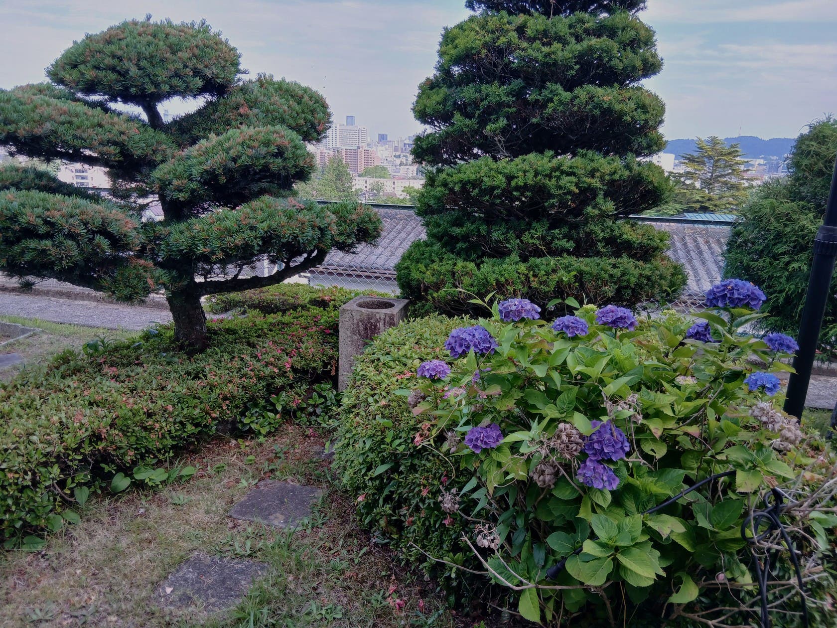 自然光たっぷり元シェアハウス丸々1棟貸し、コスプレやポートレート、自由にお使いくださいの写真10