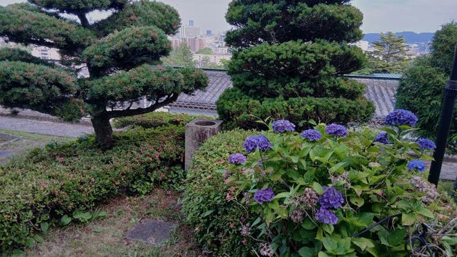 自然光たっぷり元シェアハウス丸々1棟貸し、コスプレやポートレート、自由にお使いくださいの写真10