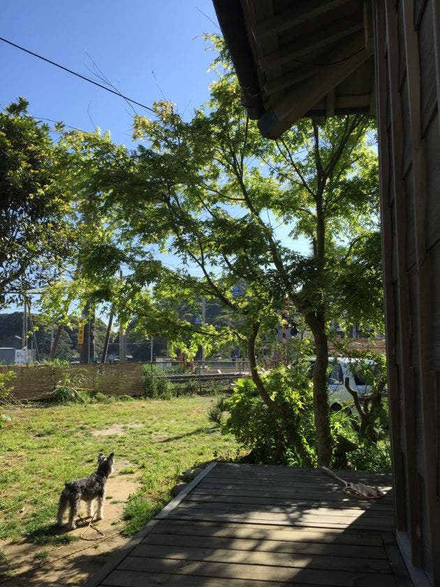 海辺の古民家　お茶の間ゲストハウスの写真7