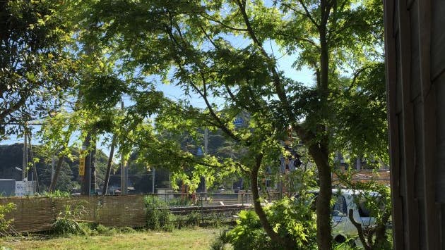 海辺の古民家 お茶の間ゲストハウスの写真7