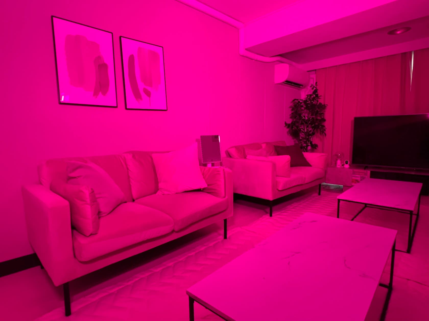 チョコレート詰め合わせプレゼント🍫🎁１０名⭕24h営業💎ゲーム機🎮パーティー⭐撮影・インタビュー⭕の写真13