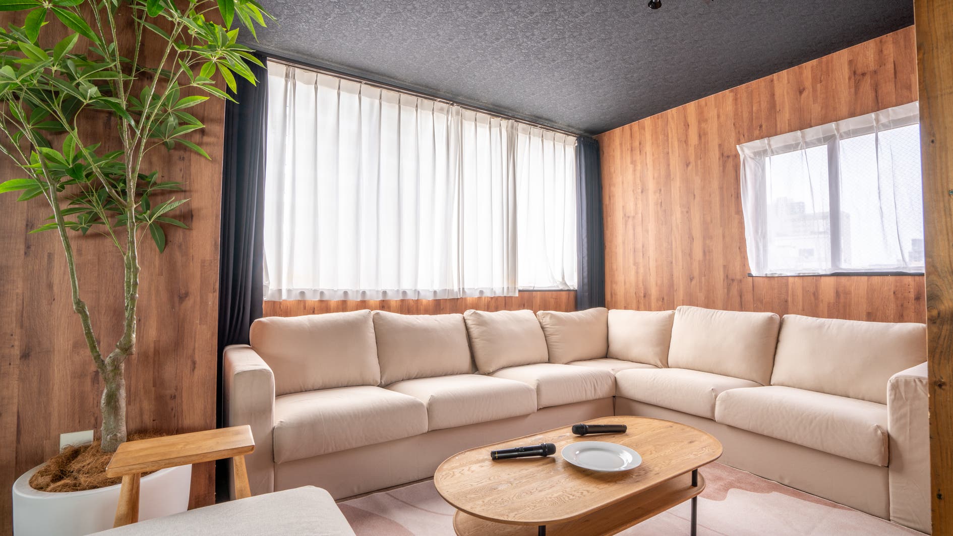 スペモ🏠️クリスマス🎄難波駅3分🚶‍♀️プロジェクター📽️パーティー🎉699_SpemoLIVING大阪難波2ndの写真24