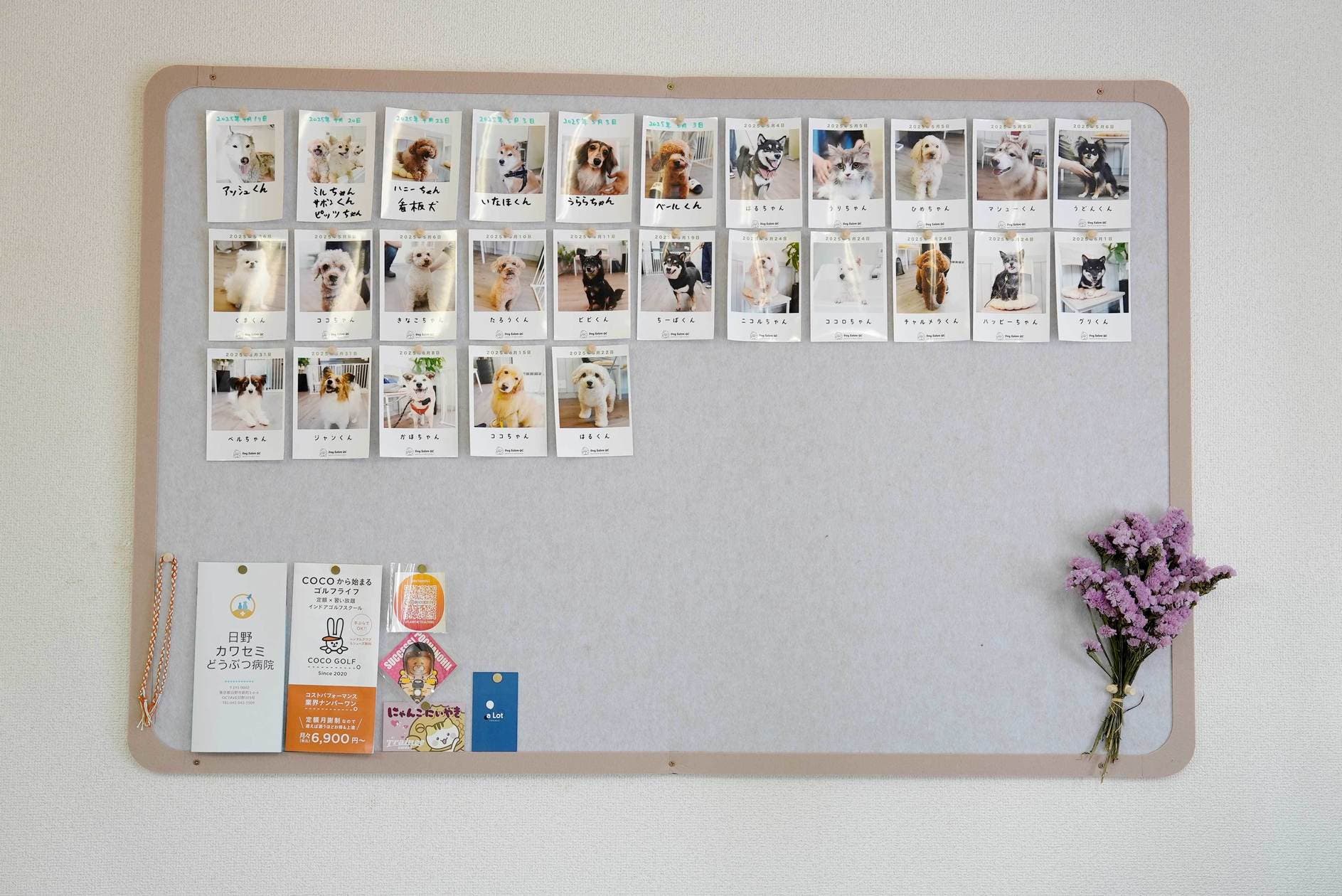 中央線日野駅から徒歩3分の手ぶらで使えるペットのセルフシャンプー専門店の写真14