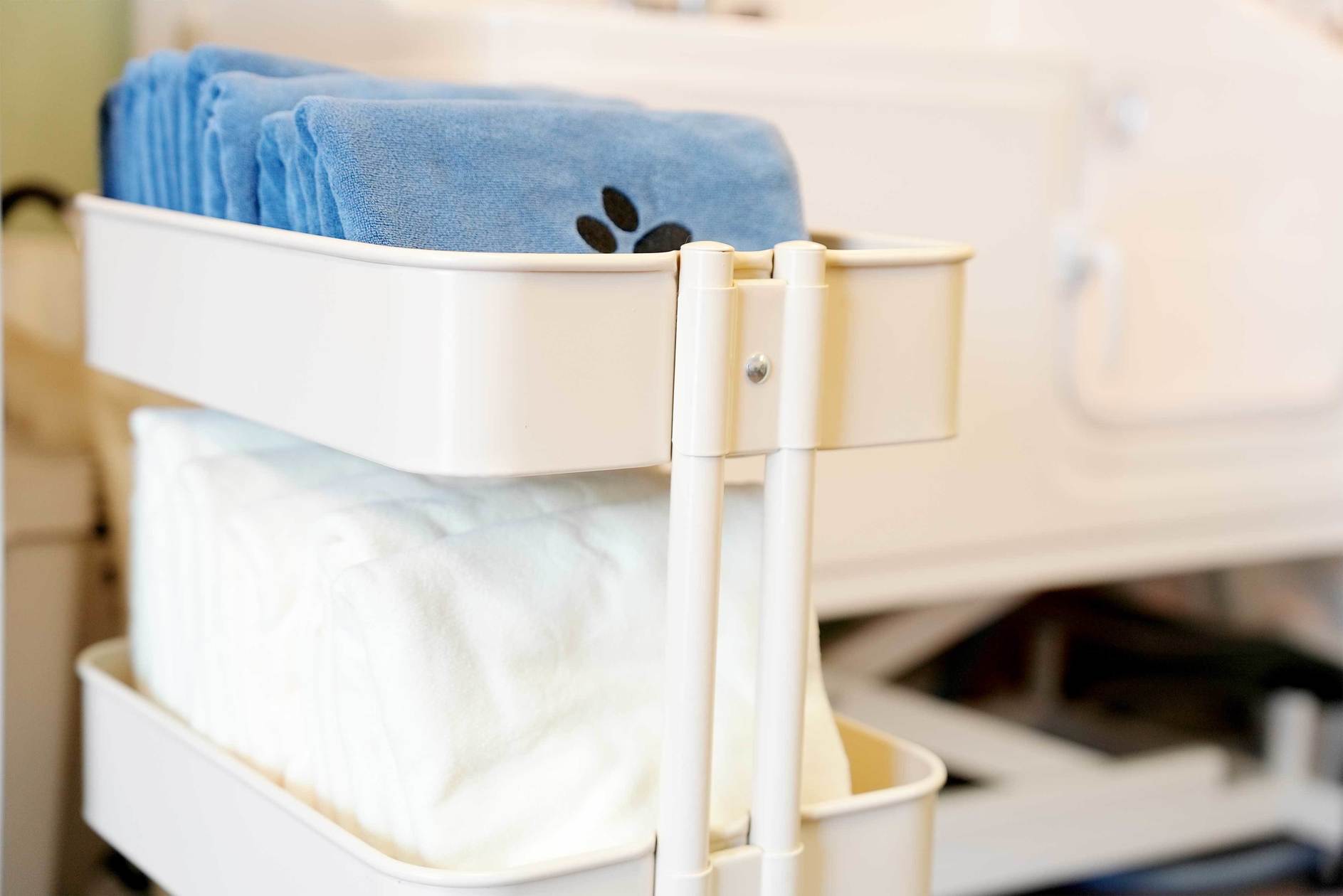 中央線日野駅から徒歩3分の手ぶらで使えるペットのセルフシャンプー専門店の写真5