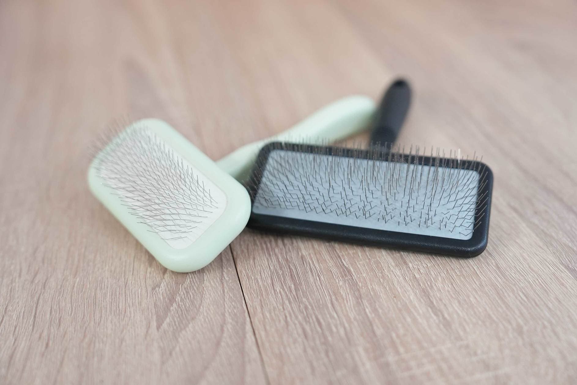 中央線日野駅から徒歩3分の手ぶらで使えるペットのセルフシャンプー専門店の写真9