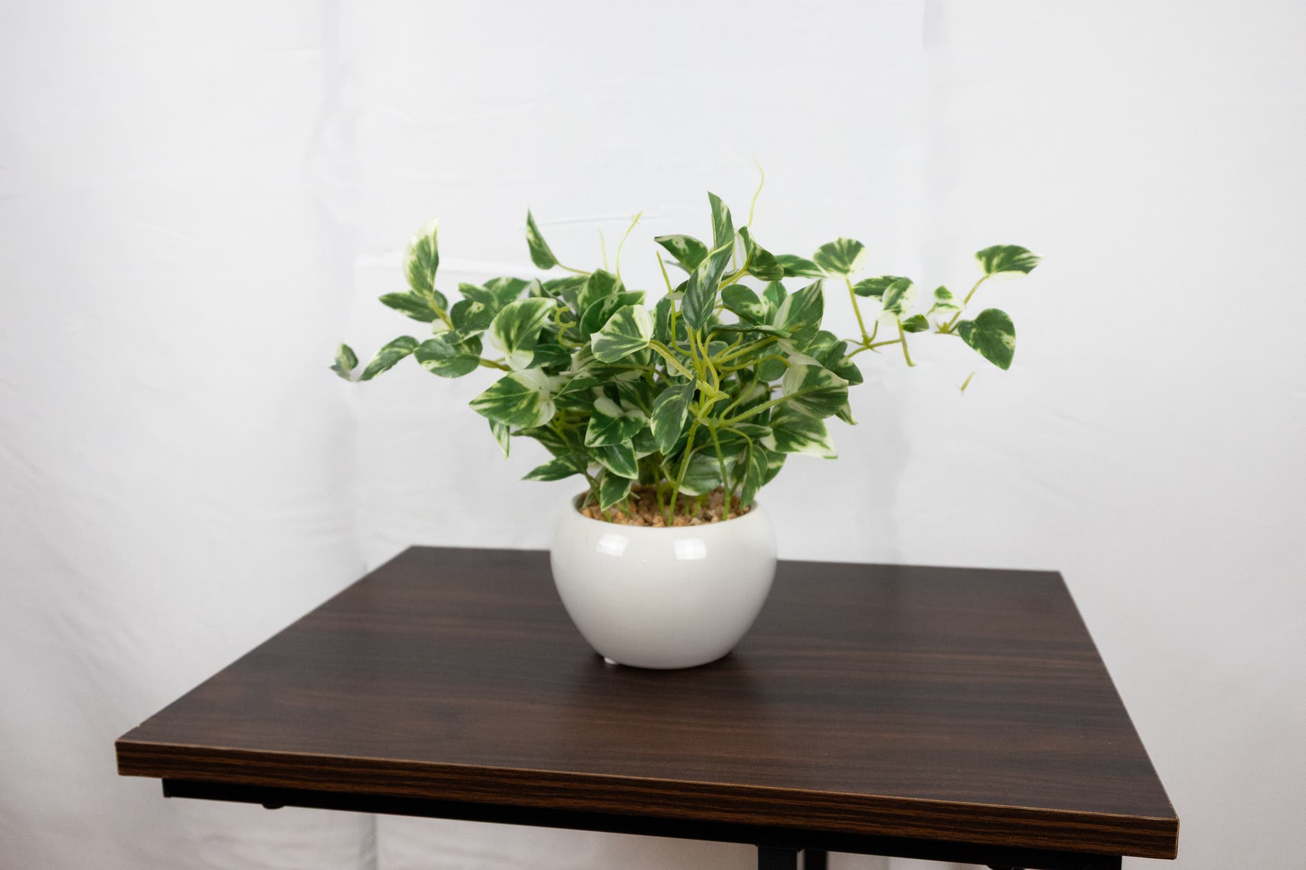 【🎄クリスマス＆忘年会🎅】谷町九丁目駅すぐ/最大２２名⭐️広々したお部屋に最高級ソファを使用⭐️の写真29