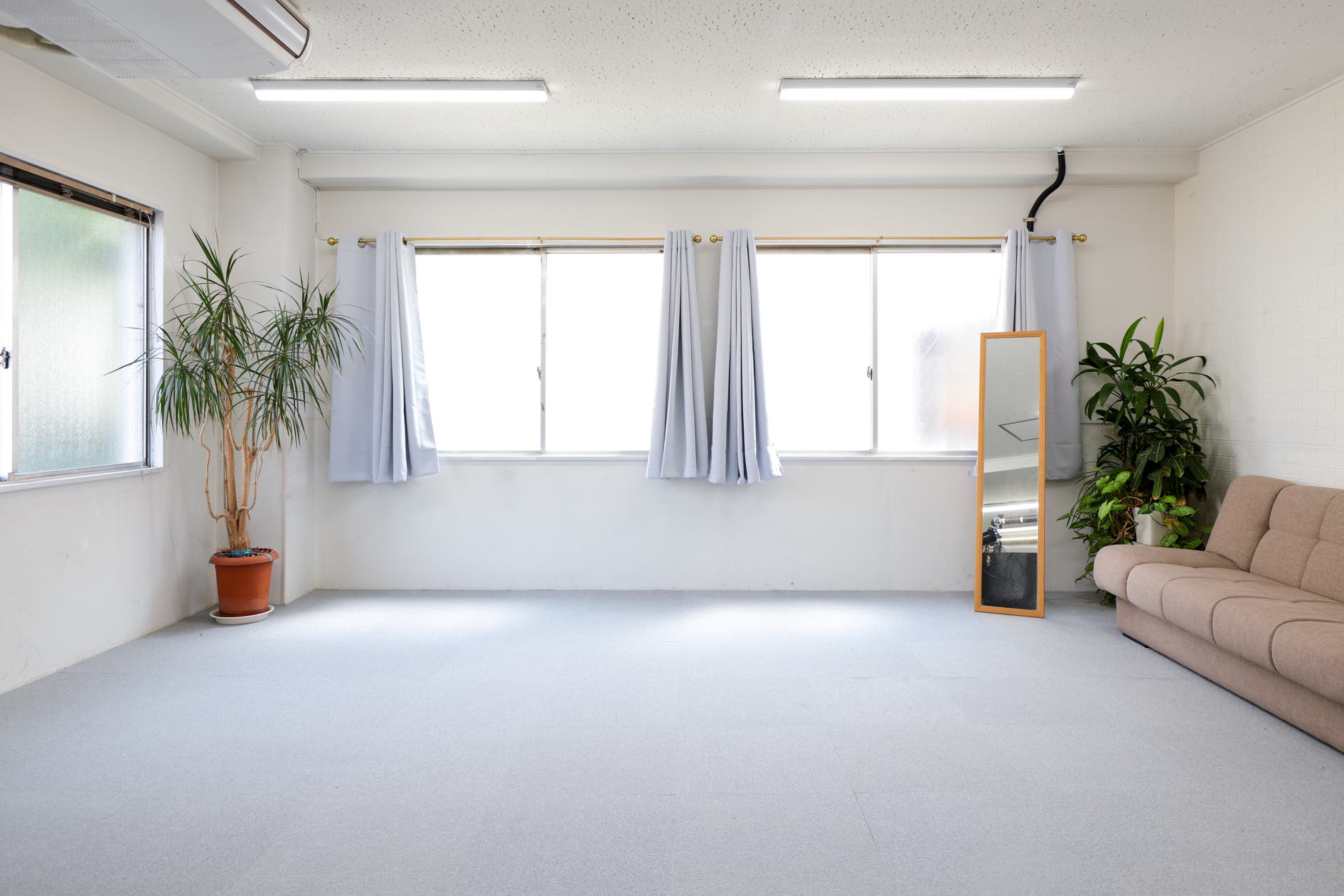 高田馬場駅から徒歩10分 〜 商品撮影・プロフィール撮影・小型犬撮影に特化した10坪のスタジオです。の写真6