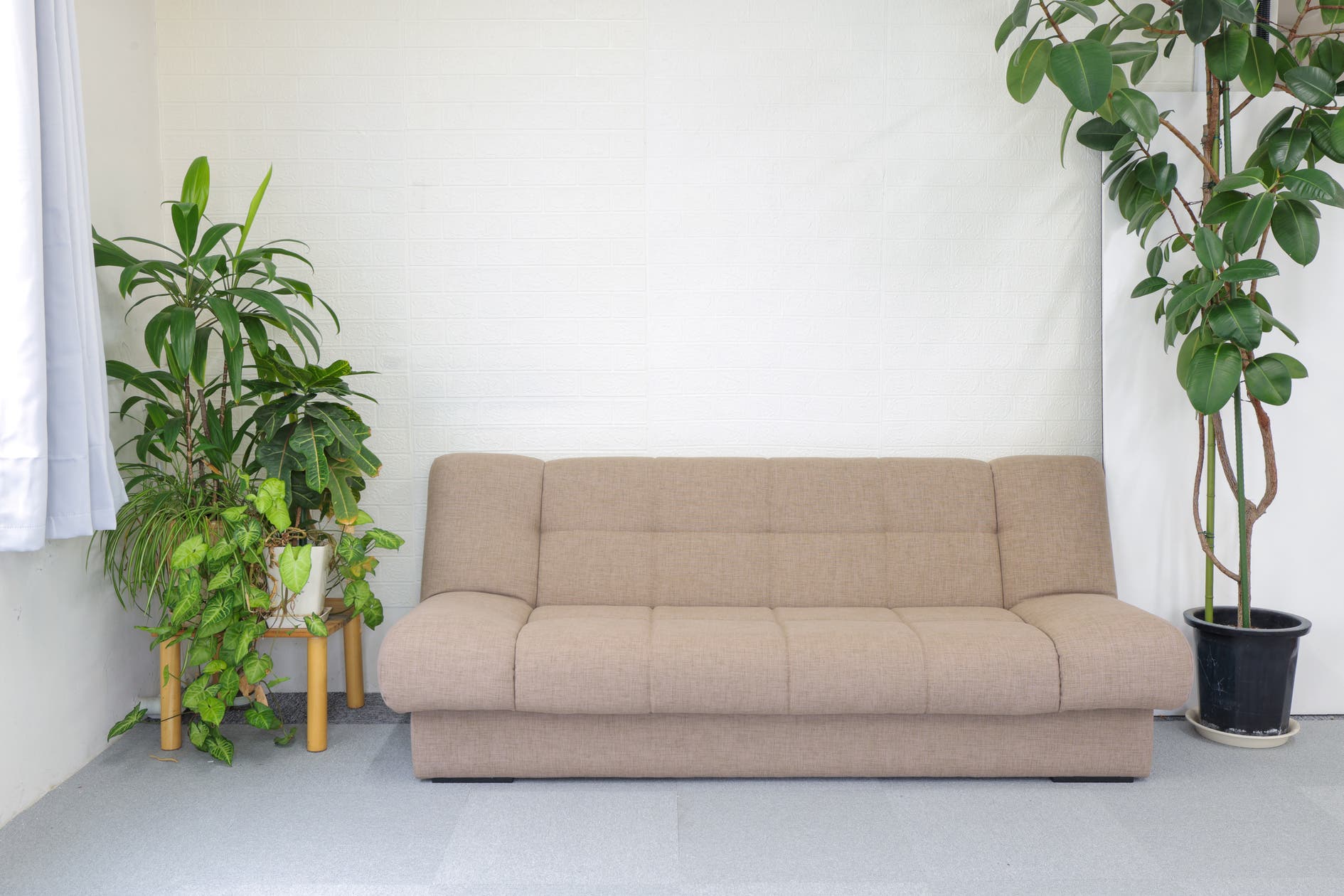 高田馬場駅から徒歩10分 〜 商品撮影・プロフィール撮影・小型犬撮影に特化した10坪のスタジオです。の写真7